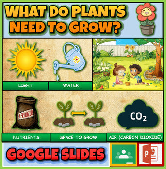 What Do Plants Need To Grow?:|2nd-5th| Interactive Powerpoint + Google ...