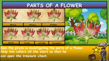 Parts of a Flower |5th-9th| Interactive Google Slides + Powerpoint + 4 ...