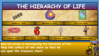 The Hierarchy Of Life |3rd-8th| Interactive Google Slides + Quiz + Pow ...