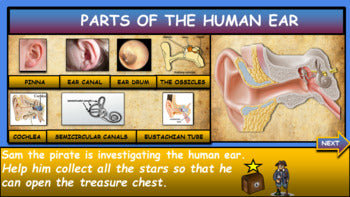 Parts of the Human Ear |4th-8th| Interactive Google Slides + Powerpoin ...