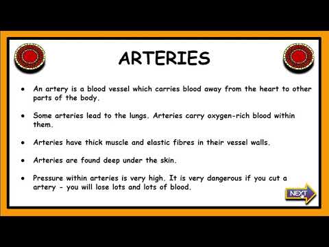 History Of Atomic Theory: Interactive Powerpoint | 6th-9th | NGSS HS-P ...